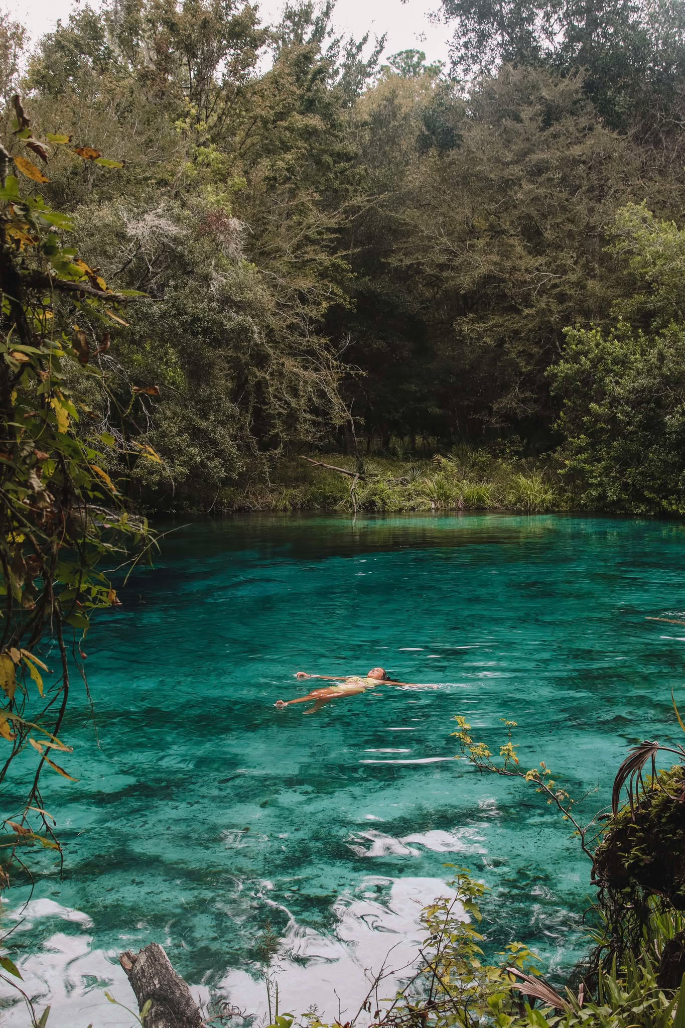 Florida Springs: An Easy Road Trip Guide from Orlando - The Nomads You Know